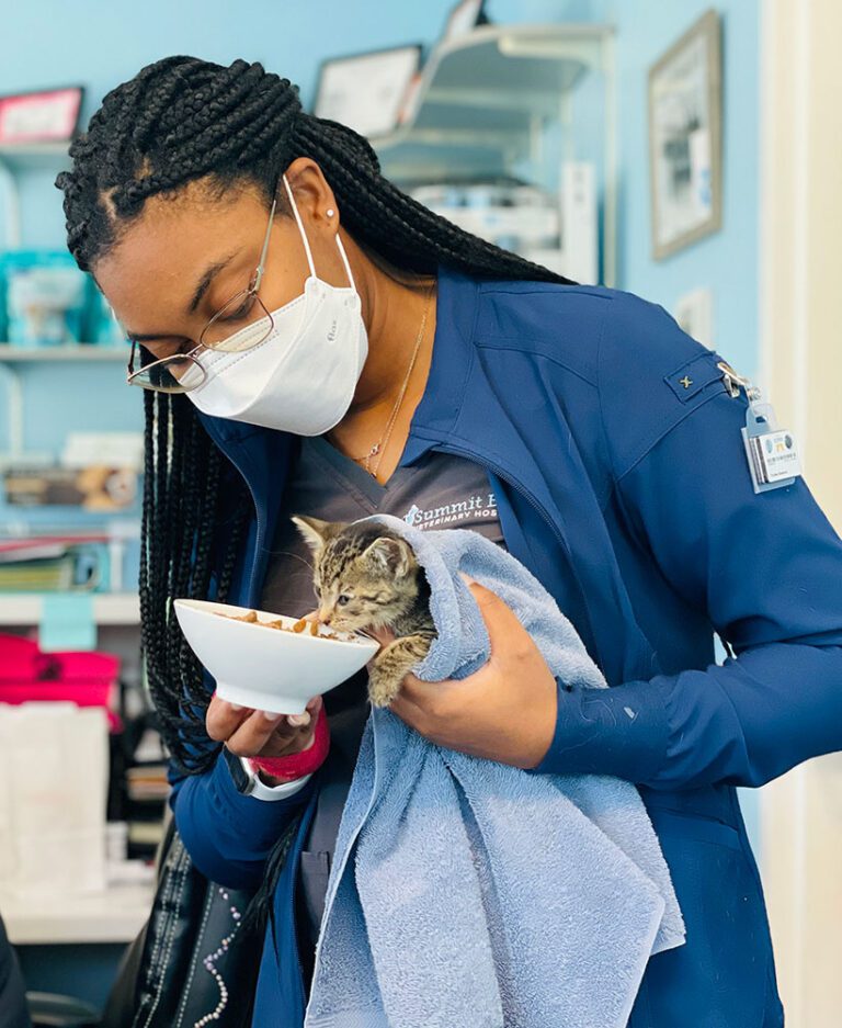 Home | Summit Bridge Veterinary Hospital