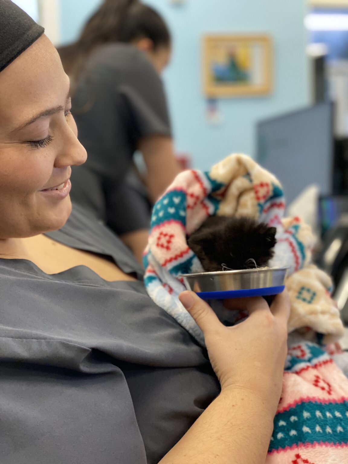 Veterinarian in Bear, DE | Summit Bridge Veterinary Hospital
