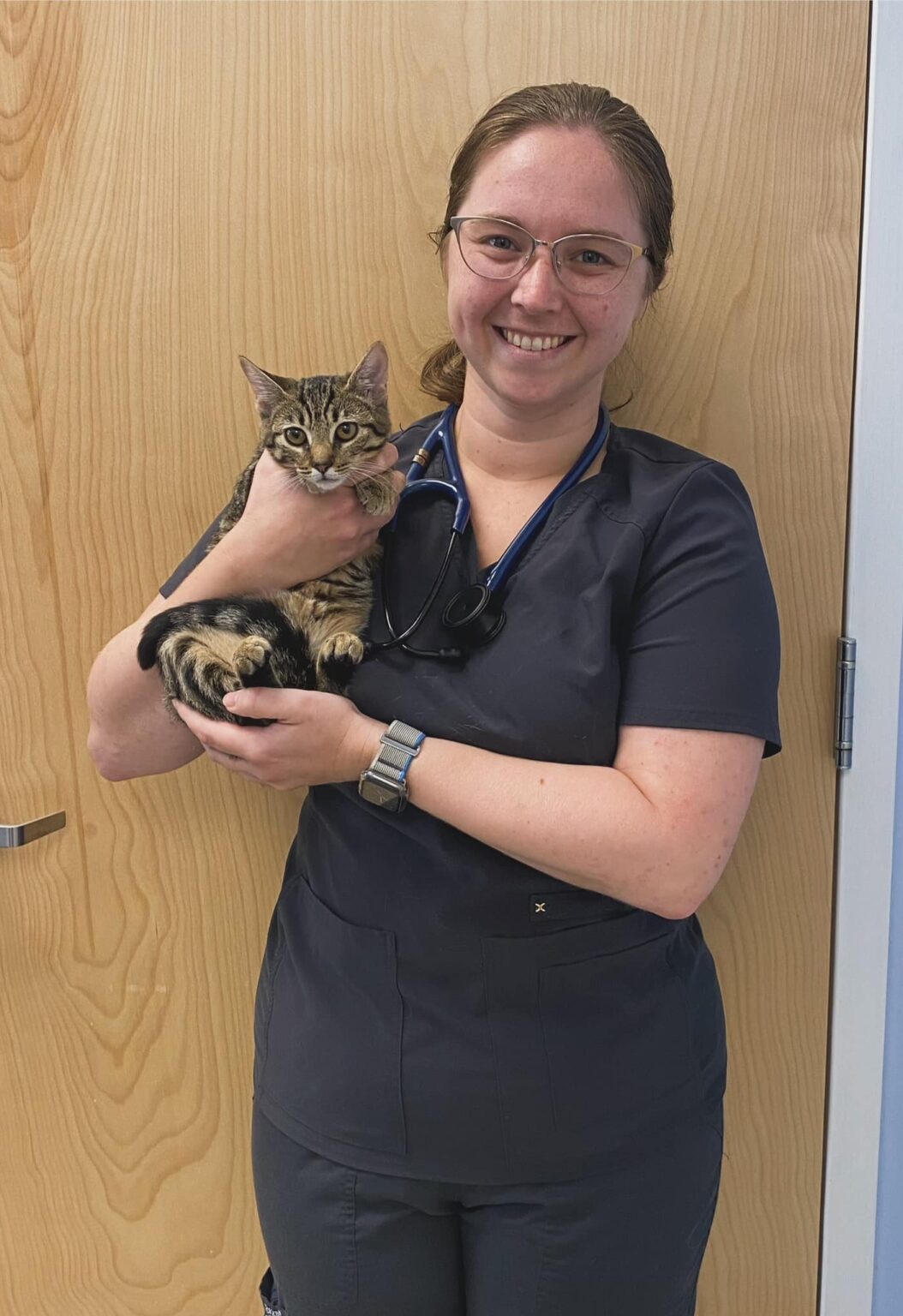 Veterinary Careers in Bear, DE | Summit Bridge Veterinary Hospital