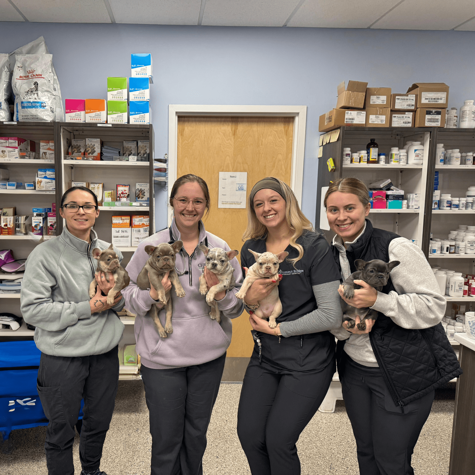 Pet Wellness Plans in Bear, DE | Summit Bridge Veterinary Hospital